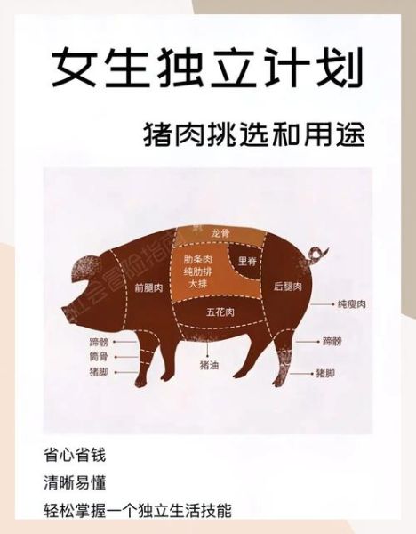 猪哪些部位不能吃_猪不能吃的部位有哪些-第2张图片-山城妙识 猪哪些部位不能吃_猪不能吃的部位有哪些-第2张图片-山城妙识