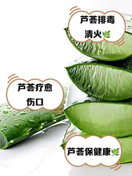 芦荟的功效与作用_芦荟怎么吃-第2张图片-山城妙识 芦荟的功效与作用_芦荟怎么吃-第2张图片-山城妙识