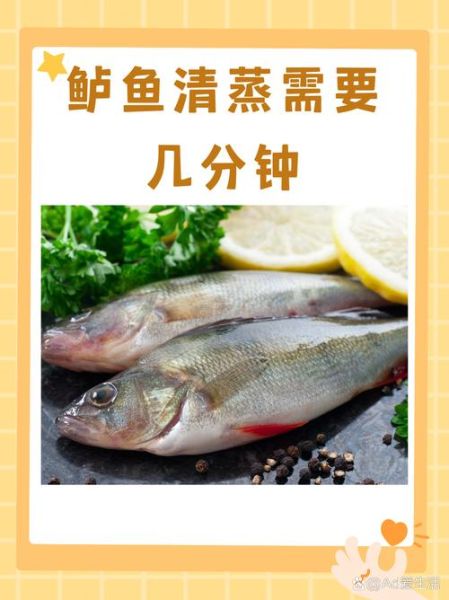鲈鱼清蒸几分钟最好_鲈鱼蒸多久最鲜嫩-第1张图片-山城妙识