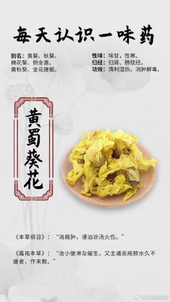 黄蜀葵花总黄酮是什么_黄蜀葵花总黄酮的功效与作用-第1张图片-山城妙识 黄蜀葵花总黄酮是什么_黄蜀葵花总黄酮的功效与作用-第1张图片-山城妙识