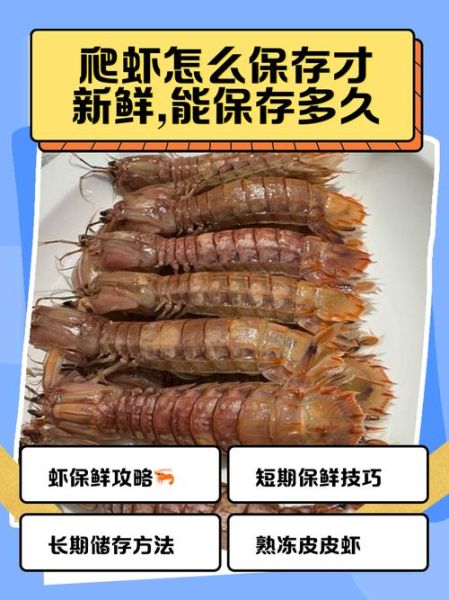 虾爬子怎么保存_虾爬子冷冻还是冷藏-第1张图片-山城妙识 虾爬子怎么保存_虾爬子冷冻还是冷藏-第1张图片-山城妙识