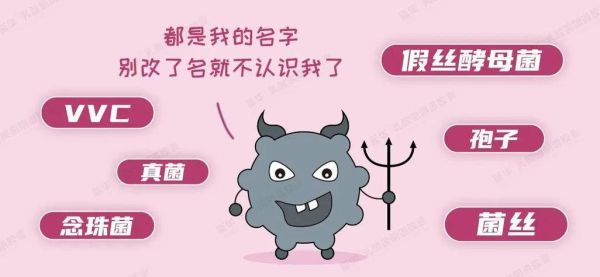 酵母菌感染反复发作怎么办_如何预防阴道真菌感染-第3张图片-山城妙识 酵母菌感染反复发作怎么办_如何预防阴道真菌感染-第3张图片-山城妙识