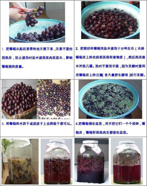 自酿葡萄酒配方_家庭自酿葡萄酒怎么做-第3张图片-山城妙识 自酿葡萄酒配方_家庭自酿葡萄酒怎么做-第3张图片-山城妙识