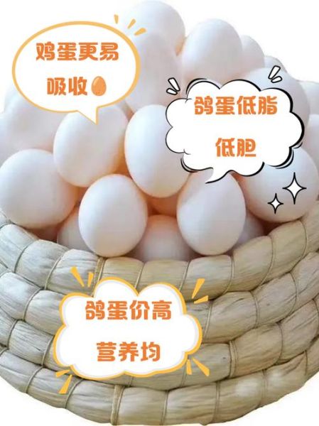 鸽子蛋的营养价值比鸡蛋高吗_孕妇吃鸽子蛋好还是鸡蛋好-第1张图片-山城妙识 鸽子蛋的营养价值比鸡蛋高吗_孕妇吃鸽子蛋好还是鸡蛋好-第1张图片-山城妙识