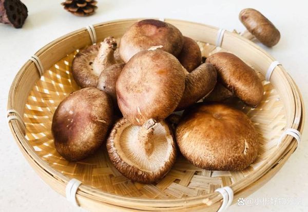 香菇怎么做好吃_香菇怎么泡发-第3张图片-山城妙识 香菇怎么做好吃_香菇怎么泡发-第3张图片-山城妙识