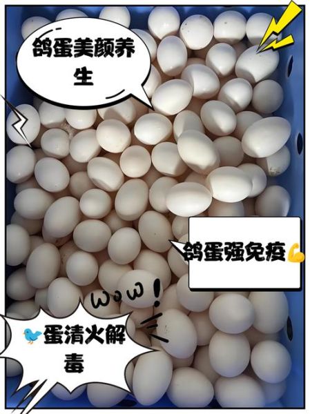 鸽子蛋的营养价值比鸡蛋高吗_孕妇吃鸽子蛋好还是鸡蛋好-第2张图片-山城妙识 鸽子蛋的营养价值比鸡蛋高吗_孕妇吃鸽子蛋好还是鸡蛋好-第2张图片-山城妙识
