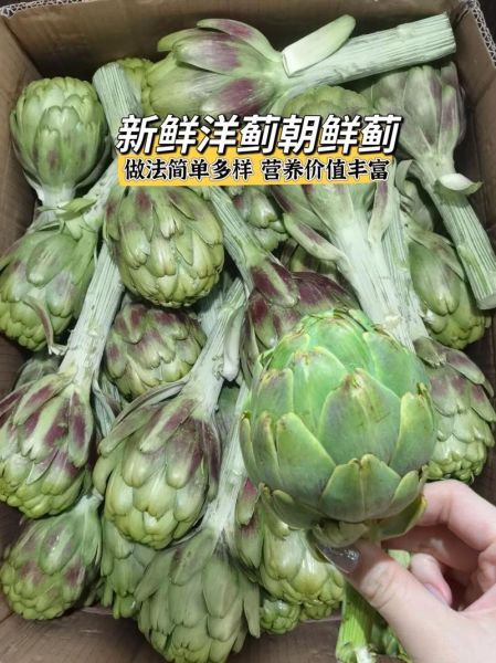 洋蓟草本有什么功效_洋蓟草本怎么吃效果最好-第2张图片-山城妙识