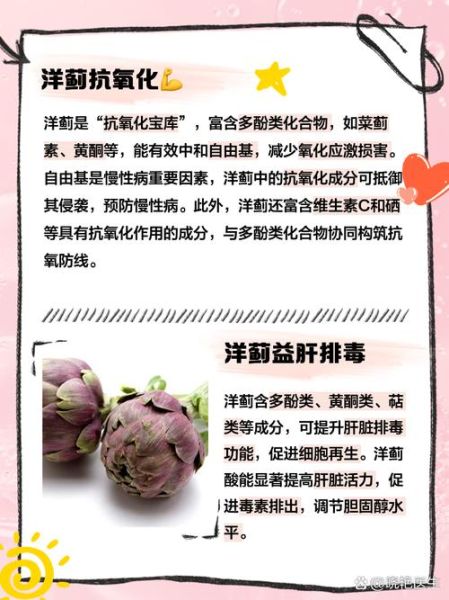 洋蓟草本有什么功效_洋蓟草本怎么吃效果最好-第1张图片-山城妙识