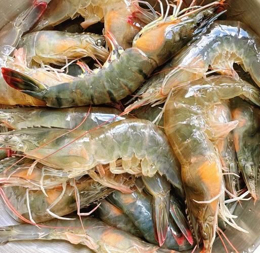 虾怎么腌制才入味_虾腌制多久最好吃-第1张图片-山城妙识