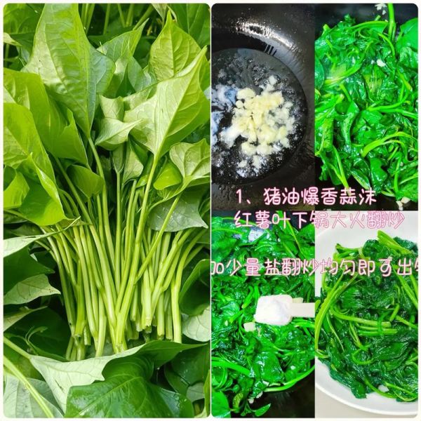 番薯叶怎么吃_番薯叶的做法大全-第2张图片-山城妙识
