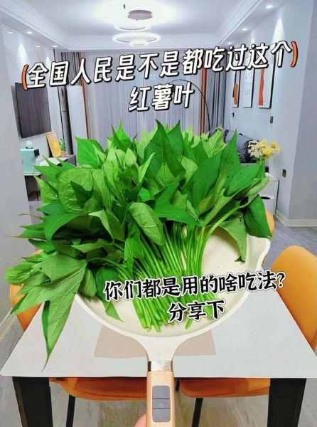 番薯叶怎么吃_番薯叶的做法大全-第3张图片-山城妙识