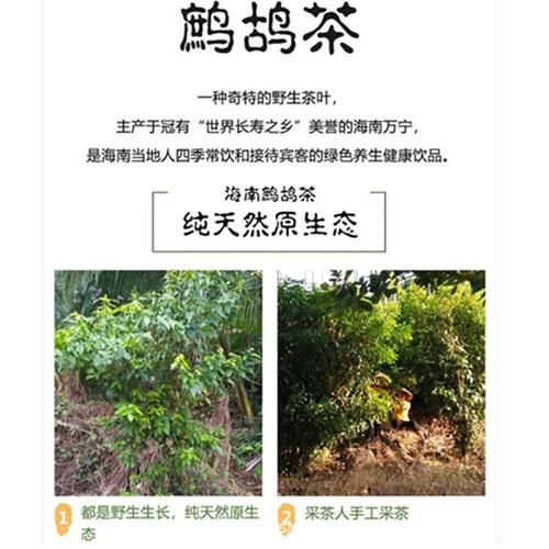 鹧鸪茶的功效与作用_鹧鸪茶怎么泡才正确-第3张图片-山城妙识 鹧鸪茶的功效与作用_鹧鸪茶怎么泡才正确-第3张图片-山城妙识