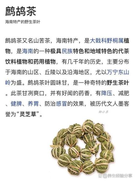鹧鸪茶的功效与作用_鹧鸪茶怎么泡才正确-第2张图片-山城妙识 鹧鸪茶的功效与作用_鹧鸪茶怎么泡才正确-第2张图片-山城妙识