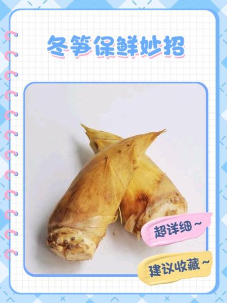 鲜冬笋的营养价值_鲜冬笋怎么吃最营养-第2张图片-山城妙识