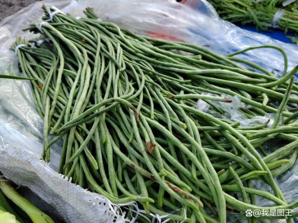 豇豆图片大图_豇豆怎么挑选-第3张图片-山城妙识 豇豆图片大图_豇豆怎么挑选-第3张图片-山城妙识