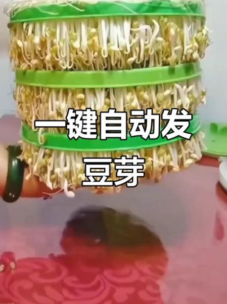 豆芽机怎么使用_豆芽机使用步骤图解-第2张图片-山城妙识 豆芽机怎么使用_豆芽机使用步骤图解-第2张图片-山城妙识