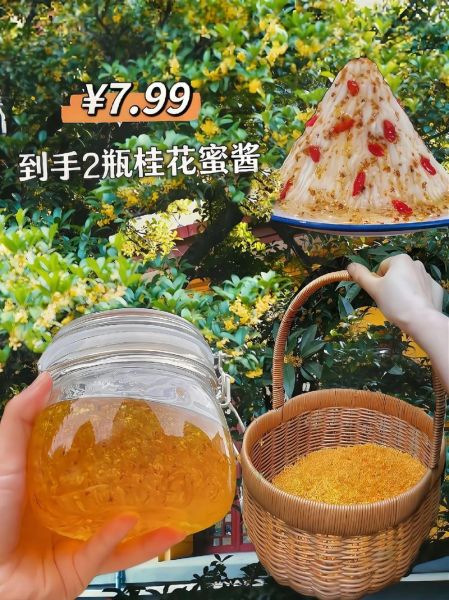 桂花蜜怎么做_自制桂花蜜保存多久-第1张图片-山城妙识 桂花蜜怎么做_自制桂花蜜保存多久-第1张图片-山城妙识