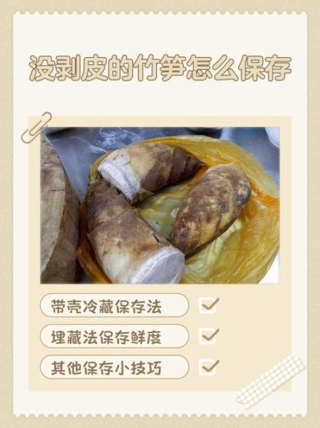 新鲜竹笋怎么处理晒干_竹笋晒干保存方法-第2张图片-山城妙识