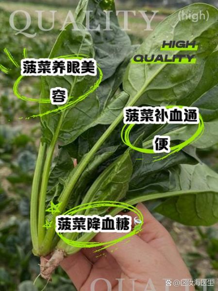 菠菜有什么营养价值_菠菜怎么吃最健康-第2张图片-山城妙识 菠菜有什么营养价值_菠菜怎么吃最健康-第2张图片-山城妙识