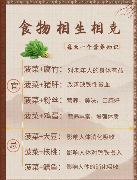 菠菜有什么营养价值_菠菜怎么吃最健康-第3张图片-山城妙识 菠菜有什么营养价值_菠菜怎么吃最健康-第3张图片-山城妙识