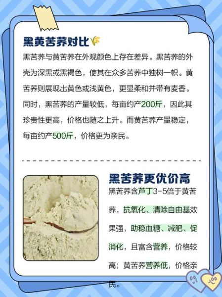 苦荞和黑苦荞的区别_哪个更适合三高人群-第3张图片-山城妙识 苦荞和黑苦荞的区别_哪个更适合三高人群-第3张图片-山城妙识