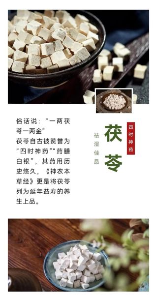 茯苓怎么吃去湿_茯苓去湿气的正确吃法-第3张图片-山城妙识