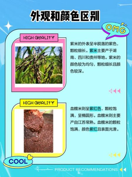血糯米是紫米吗_血糯米和紫米的区别-第1张图片-山城妙识 血糯米是紫米吗_血糯米和紫米的区别-第1张图片-山城妙识