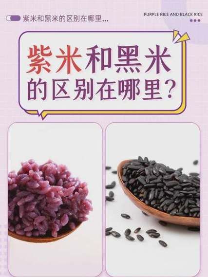 血糯米是紫米吗_血糯米和紫米的区别-第3张图片-山城妙识 血糯米是紫米吗_血糯米和紫米的区别-第3张图片-山城妙识