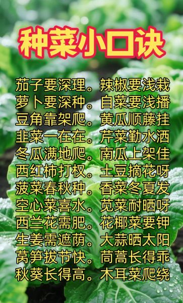 有机蔬菜种植技术_如何在家种出零农残蔬菜-第3张图片-山城妙识