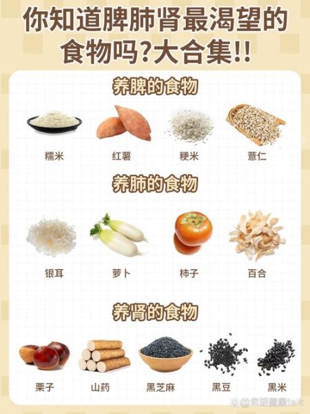 肾阴虚食补吃什么最好_肾阴虚吃什么食物最快-第3张图片-山城妙识