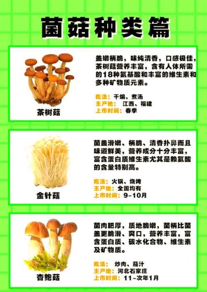 食用蘑菇种类大全_哪些蘑菇最安全-第2张图片-山城妙识 食用蘑菇种类大全_哪些蘑菇最安全-第2张图片-山城妙识