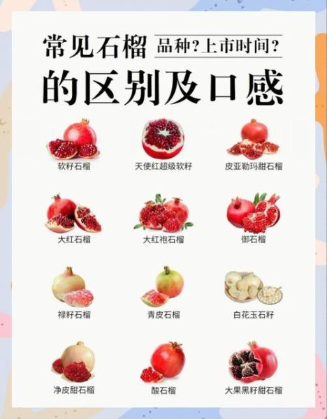 石榴的功效与作用_石榴的禁忌人群有哪些-第2张图片-山城妙识
