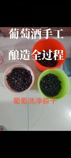 自制葡萄酒怎么做_自酿葡萄酒注意事项-第3张图片-山城妙识 自制葡萄酒怎么做_自酿葡萄酒注意事项-第3张图片-山城妙识