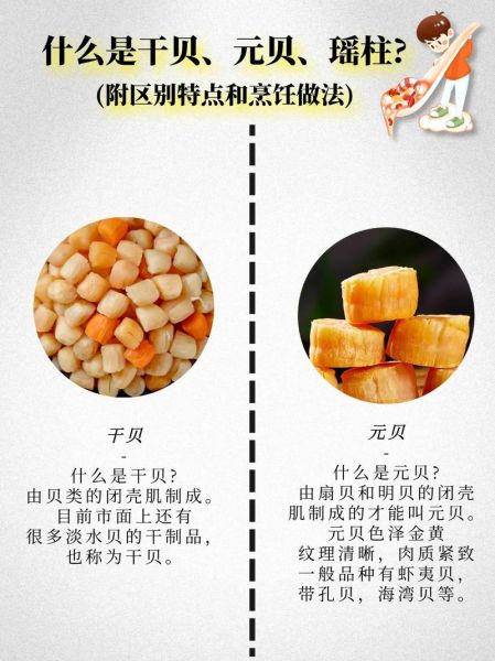 元贝和干贝的区别_哪个更贵更好吃-第1张图片-山城妙识 元贝和干贝的区别_哪个更贵更好吃-第1张图片-山城妙识