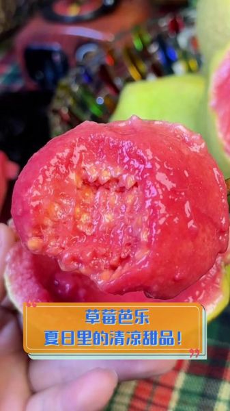 草莓丝瓜芭乐污污18岁在线播放_哪里能看完整版-第3张图片-山城妙识
