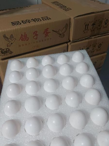 鸽子蛋多大_鸽子蛋重量多少克-第2张图片-山城妙识 鸽子蛋多大_鸽子蛋重量多少克-第2张图片-山城妙识
