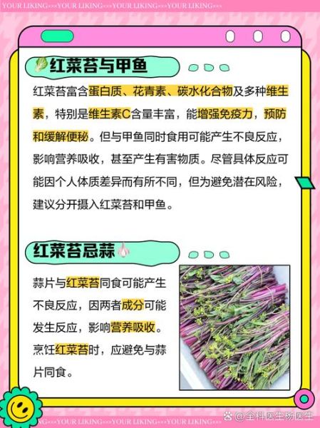 红菜苔的功效与作用及禁忌_什么人不能吃-第2张图片-山城妙识 红菜苔的功效与作用及禁忌_什么人不能吃-第2张图片-山城妙识
