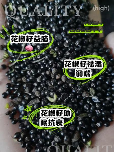 花椒籽的功效与作用_花椒籽怎么吃效果最好-第2张图片-山城妙识 花椒籽的功效与作用_花椒籽怎么吃效果最好-第2张图片-山城妙识