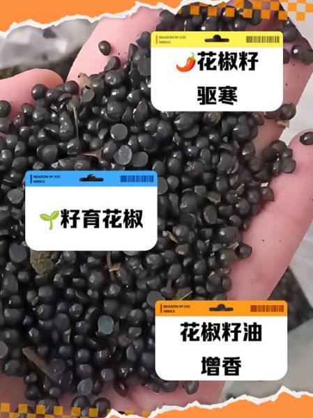 花椒籽的功效与作用_花椒籽怎么吃效果最好-第3张图片-山城妙识 花椒籽的功效与作用_花椒籽怎么吃效果最好-第3张图片-山城妙识