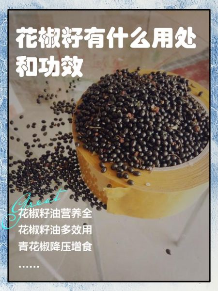 花椒籽的功效与作用_花椒籽怎么吃效果最好-第1张图片-山城妙识 花椒籽的功效与作用_花椒籽怎么吃效果最好-第1张图片-山城妙识