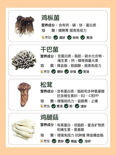 蘑菇的种类有多少种_常见可食用品种有哪些-第1张图片-山城妙识 蘑菇的种类有多少种_常见可食用品种有哪些-第1张图片-山城妙识