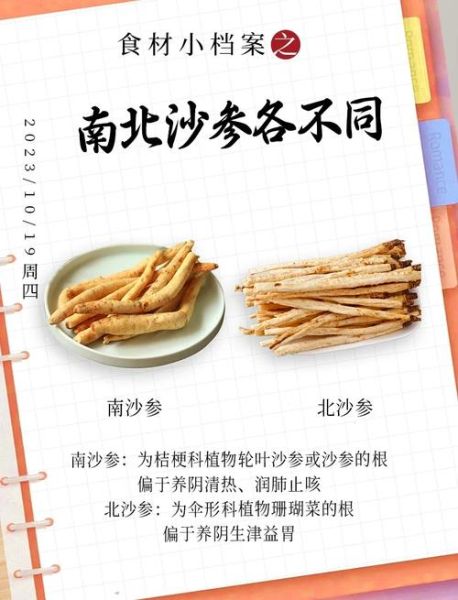 沙参的功效与作用_沙参适合什么人吃-第1张图片-山城妙识 沙参的功效与作用_沙参适合什么人吃-第1张图片-山城妙识