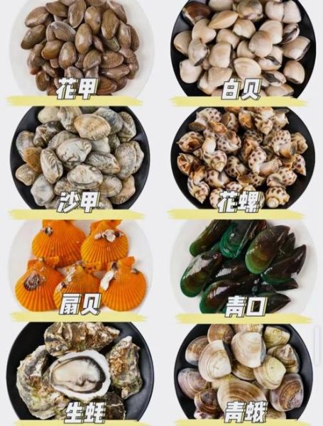 贝类海鲜批发哪里便宜_如何挑选优质货源-第2张图片-山城妙识 贝类海鲜批发哪里便宜_如何挑选优质货源-第2张图片-山城妙识