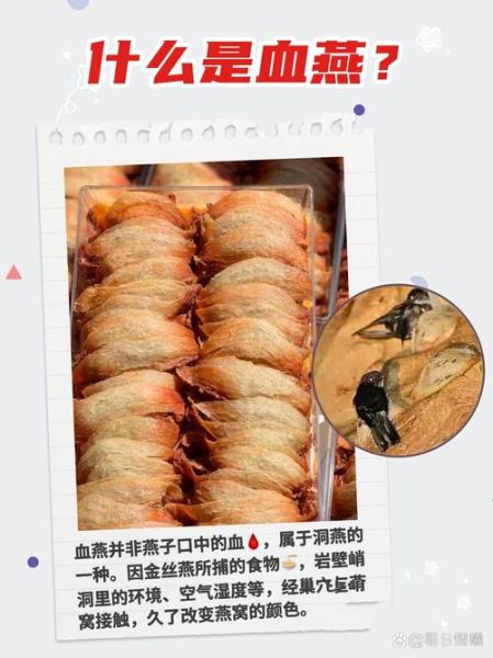 血燕是什么_血燕价格为什么那么高-第3张图片-山城妙识 血燕是什么_血燕价格为什么那么高-第3张图片-山城妙识