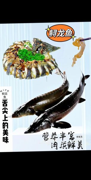 鲟鱼怎么做好吃_鲟鱼的做法大全图解-第1张图片-山城妙识 鲟鱼怎么做好吃_鲟鱼的做法大全图解-第1张图片-山城妙识