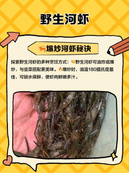 野生河虾多少钱一斤_如何挑选新鲜野生河虾-第1张图片-山城妙识 野生河虾多少钱一斤_如何挑选新鲜野生河虾-第1张图片-山城妙识