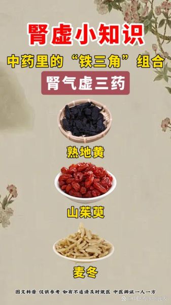 肾虚吃什么补最好_肾虚吃什么食物最快见效-第2张图片-山城妙识 肾虚吃什么补最好_肾虚吃什么食物最快见效-第2张图片-山城妙识