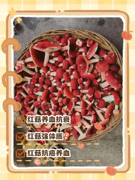 野生红菇怎么清洗_野生红菇炖汤做法-第3张图片-山城妙识 野生红菇怎么清洗_野生红菇炖汤做法-第3张图片-山城妙识