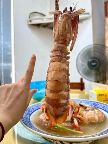 吃皮皮虾的禁忌_哪些人不能吃-第2张图片-山城妙识 吃皮皮虾的禁忌_哪些人不能吃-第2张图片-山城妙识