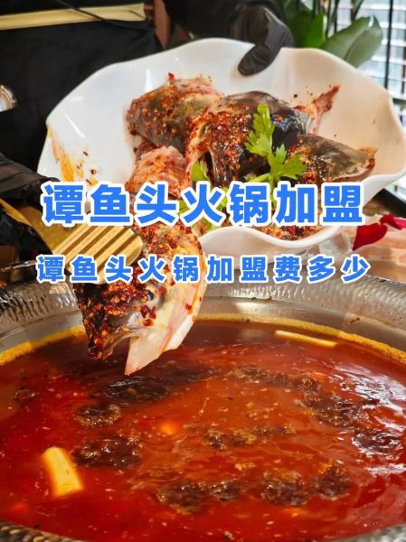 谭鱼头火锅好吃吗_谭鱼头火锅加盟费多少-第1张图片-山城妙识 谭鱼头火锅好吃吗_谭鱼头火锅加盟费多少-第1张图片-山城妙识